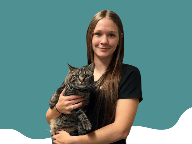 Welcome [bannercreekanimalhospital.com]